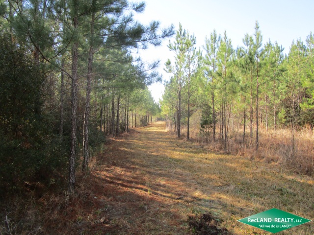 RecLand Realty - Land Broker - Real Estate Broker